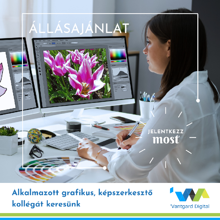 Alkalmazott grafikus, képszerkesztő kollégát keresünk | 'Vantgard Digital